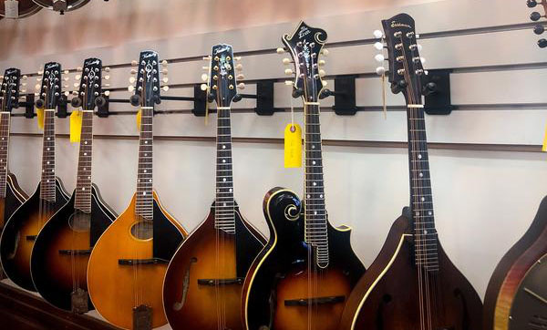 What Size Mandolin? (All sizes of mandolin explained for beginners ...